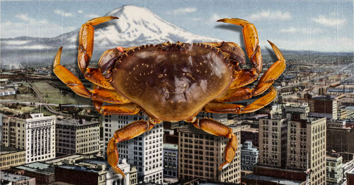 A Brief History: Dungeness Crab – Neptune Seafood