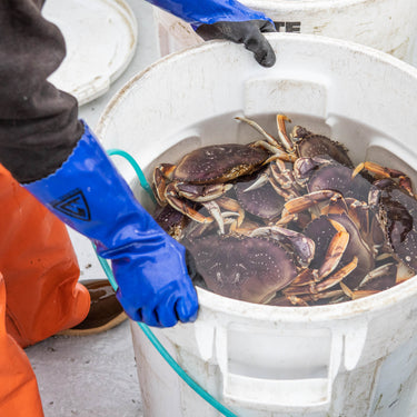 Neptune Seafood