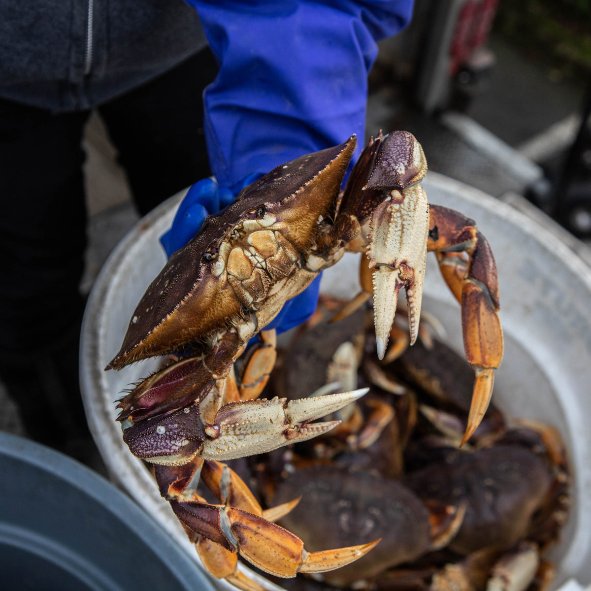 Neptune Seafood