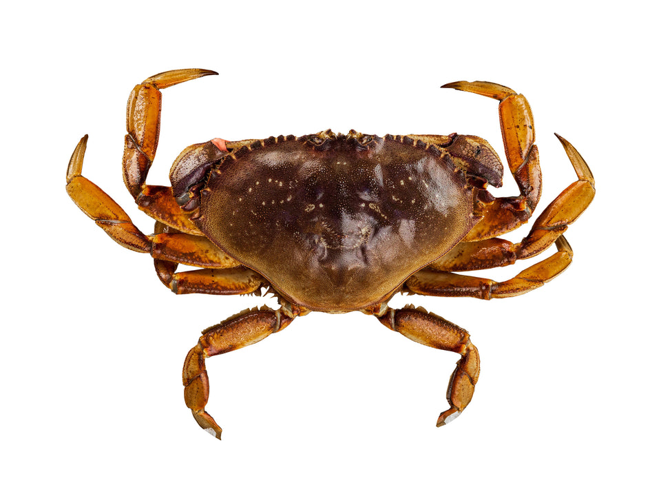 Neptune Seafood